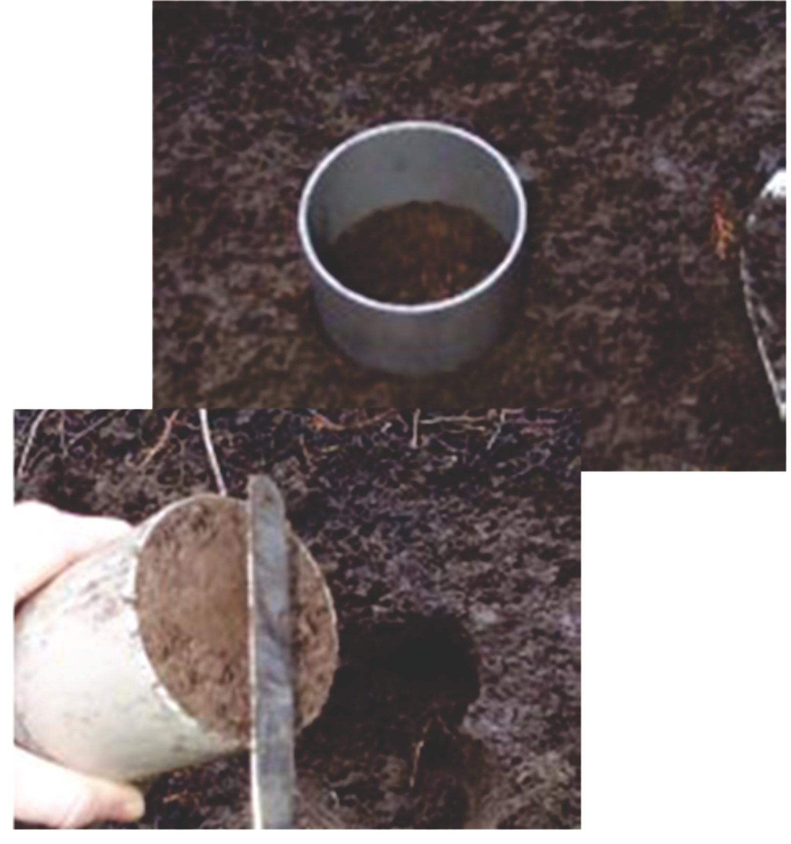 Exp 5 Bulk Density - Civil Engineers PK
